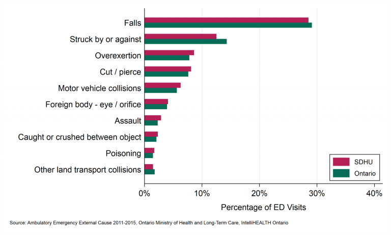 Public Health Sudbury & Districts - Injuries_All_Leading Public Health Sudbury & Districts - Injuries_All_Leading